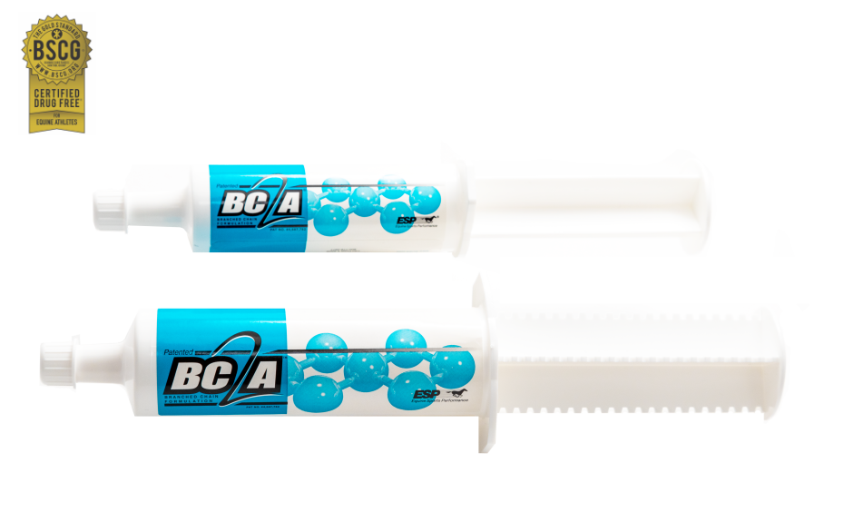 BC2A® Equine Formula | Order Now | Equine Sports Performance®
